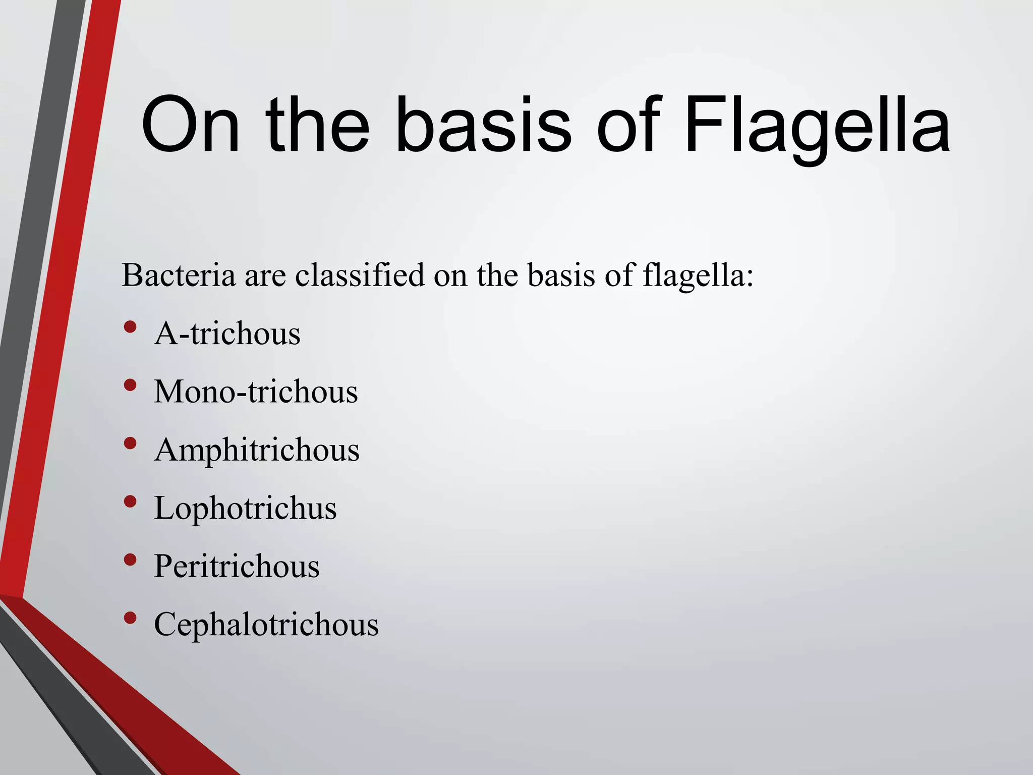 Introduction to Bacteria .. | PPTX