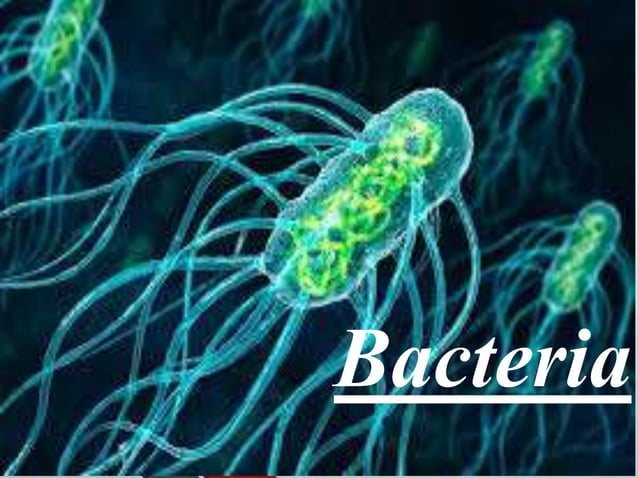 Introduction to Bacteria .. | PPTX | Biological Sciences | Science
