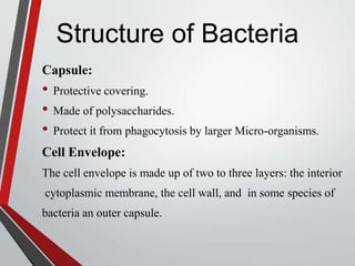 Introduction to Bacteria .. | PPTX