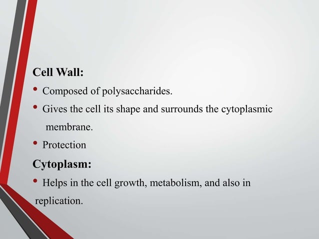 Introduction to Bacteria .. | PPTX | Biological Sciences | Science
