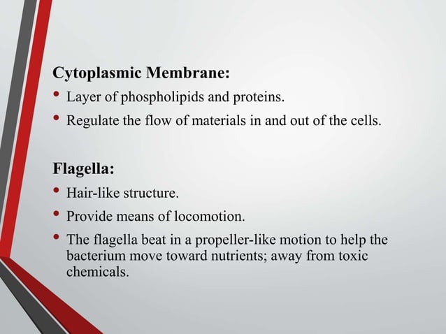 Introduction to Bacteria .. | PPTX | Biological Sciences | Science