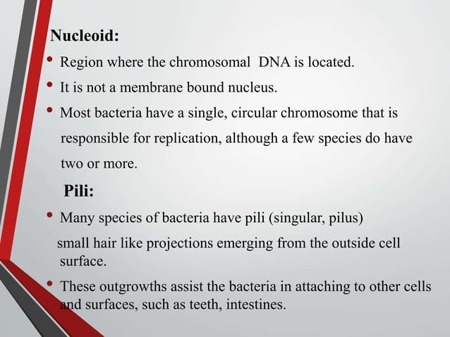Introduction to Bacteria .. | PPTX | Biological Sciences | Science