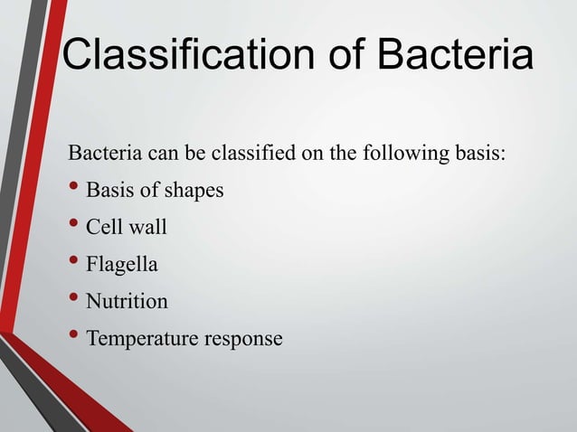 Introduction to Bacteria .. | PPTX | Biological Sciences | Science
