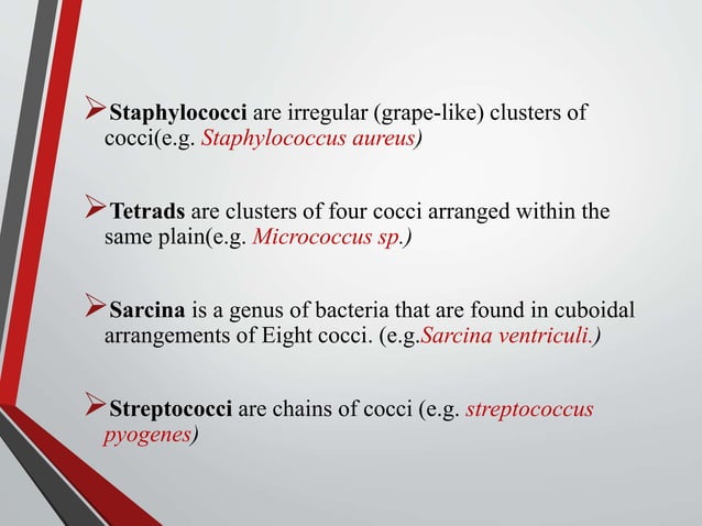 Introduction to Bacteria .. | PPTX | Biological Sciences | Science