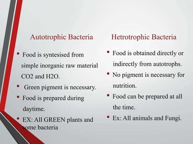 Introduction to Bacteria .. | PPTX | Biological Sciences | Science