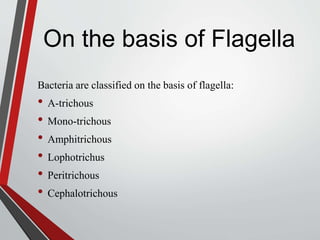 Introduction to Bacteria .. | PPTX