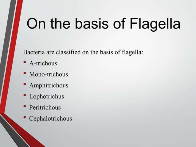 Introduction to Bacteria .. | PPTX | Biological Sciences | Science