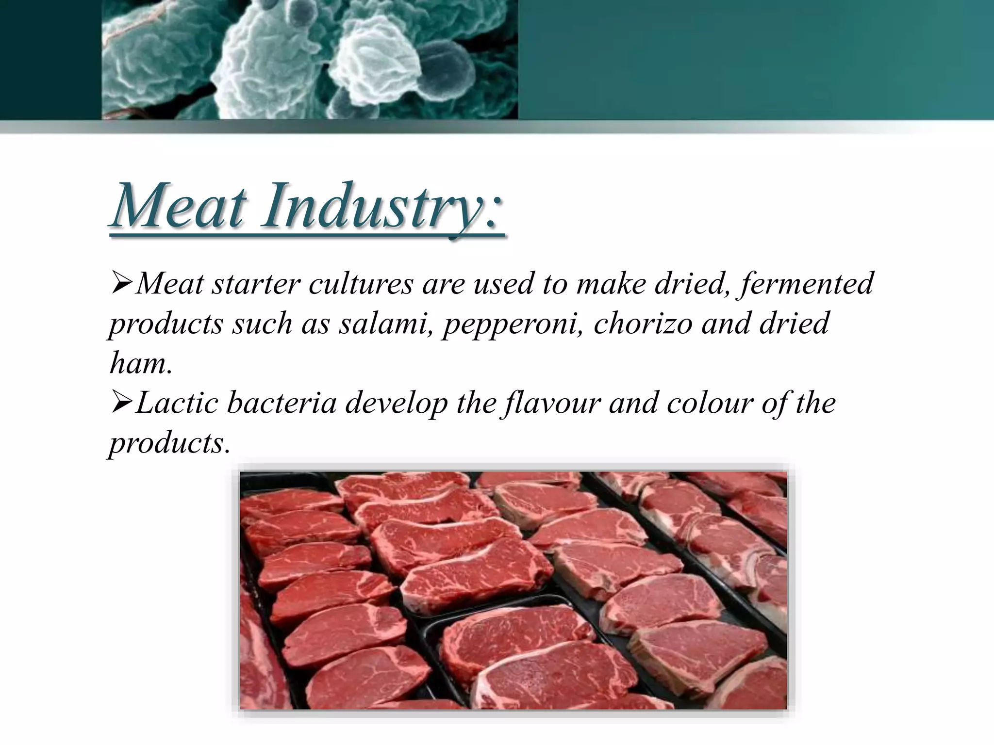 Impact of Bacteria on Product Quality | PPTX