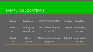 Bacteria Isolation and Characterization Presentation | PPTX