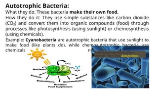 Understanding Bacteria as Prokaryotic cell.pptx