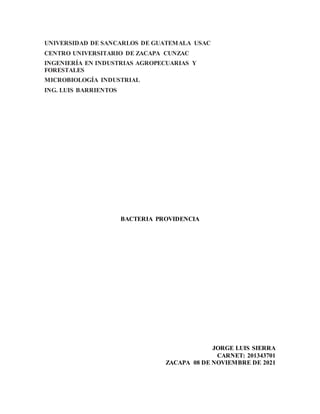 Bacteria providencia informe | DOCX