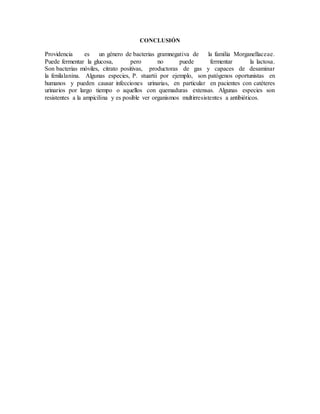 Bacteria providencia informe | DOCX