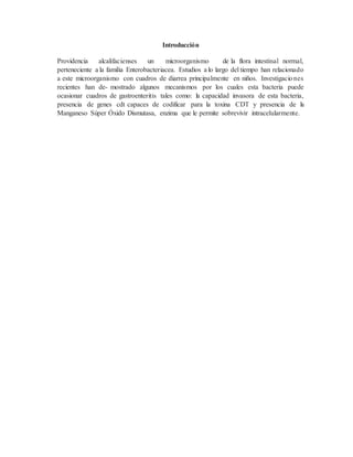 Bacteria providencia informe | DOCX