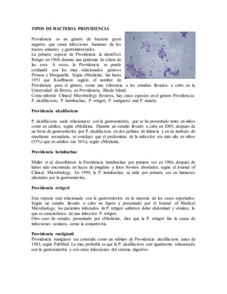 Bacteria providencia informe | DOCX