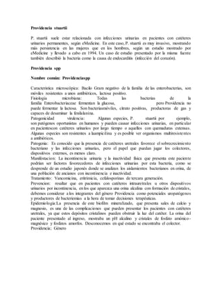 Bacteria providencia informe | DOCX