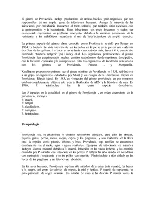 Bacteria providencia informe | DOCX