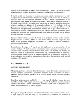 Bacteria providencia informe | DOCX
