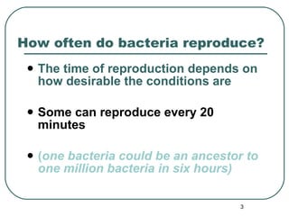 Bacteriareproduction | PPT | Genetics | Science