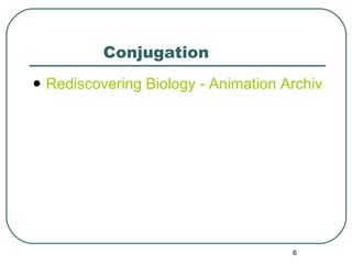 Bacteriareproduction | PPT | Genetics | Science