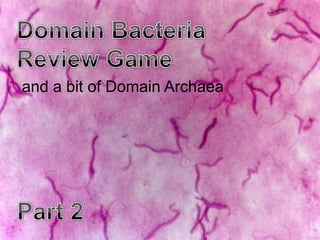 Bacteria Quiz Game Lesson | PPTX