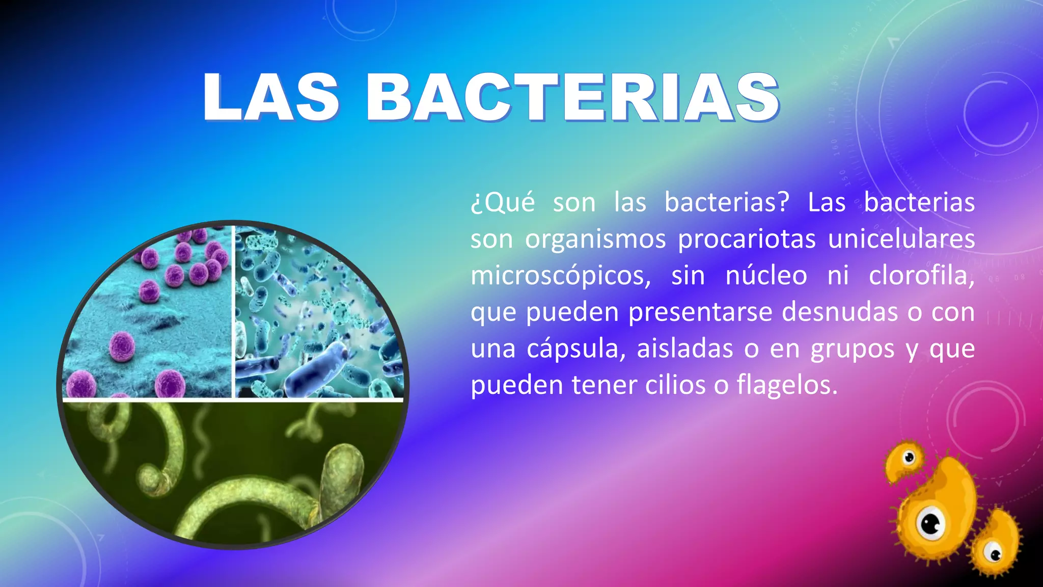 Las Bacterias | PDF | Biological Sciences | Science