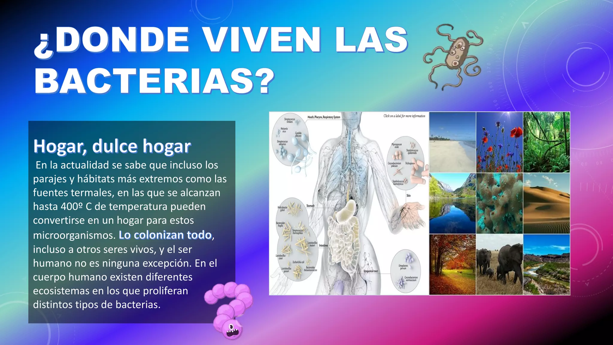Las Bacterias | PDF | Biological Sciences | Science