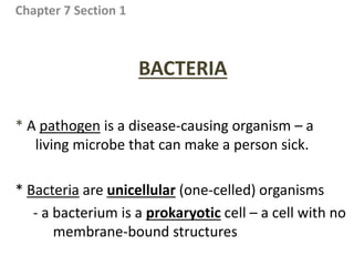 Bacteria science#6(showas5) | PPTX