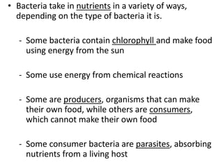 Bacteria science#6(showas5) | PPTX
