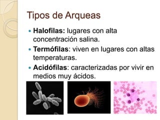 Bacterias | PPTX
