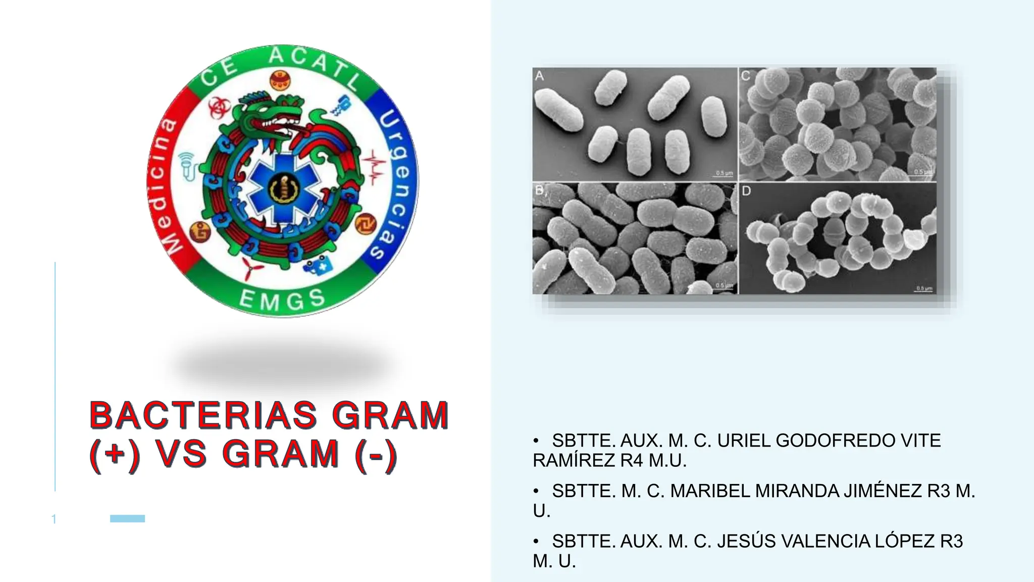 clasificacion de bacterias gram positiva | PPTX