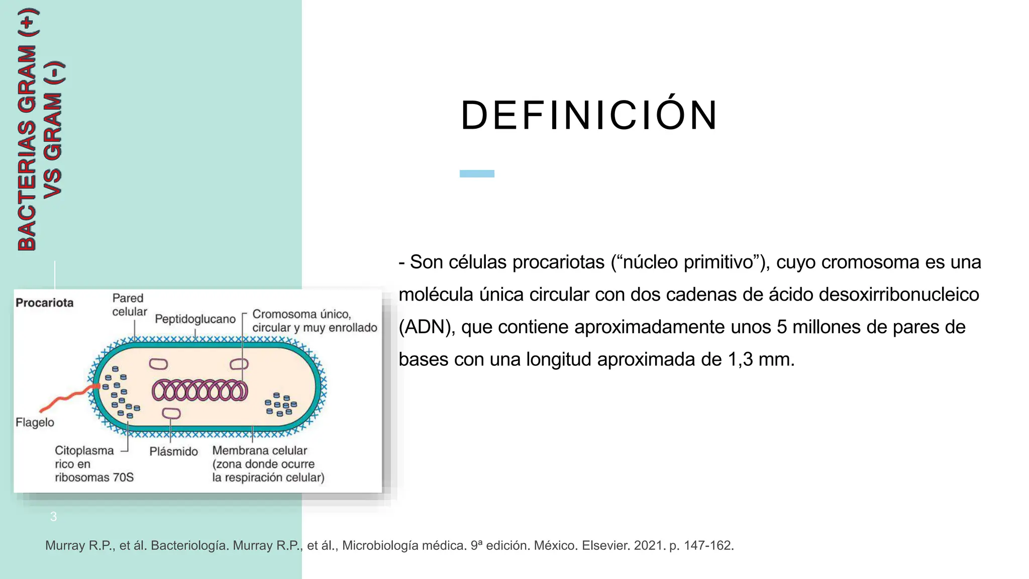 clasificacion de bacterias gram positiva | PPTX