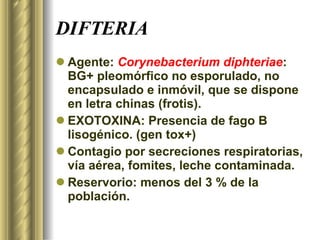 Bacterias Infecciones Respiratorias Bacterianas I | PPT