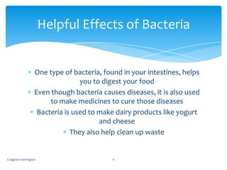 Bacteria: Friend or Foe? | PPTX