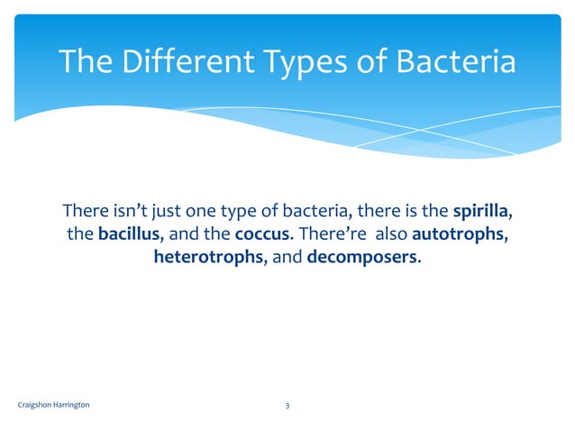 Bacteria: Friend or Foe? | PPTX