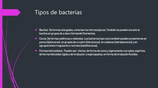 BACTERIAS MICRIBIOLOGICAS.pptx