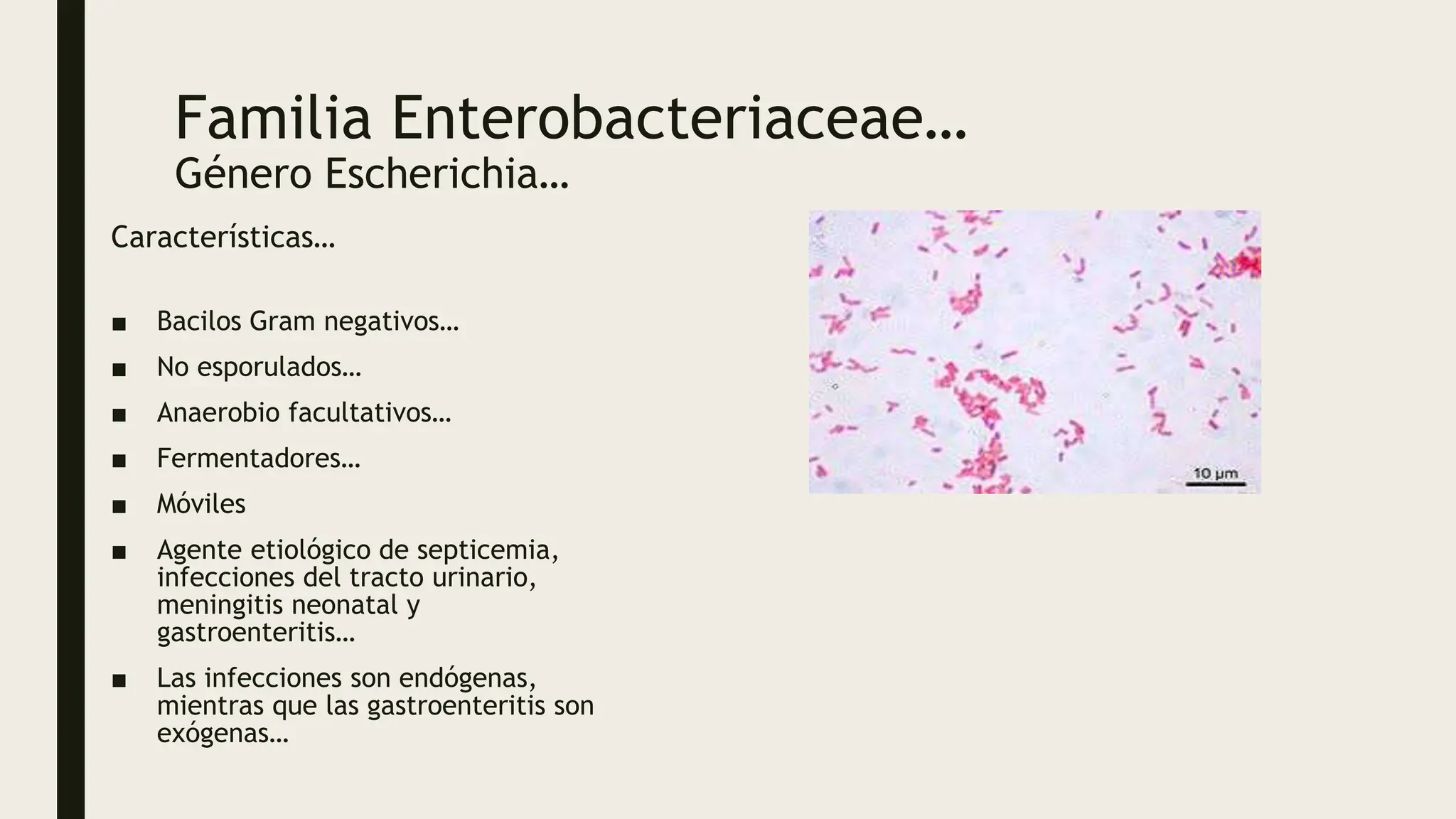 BACTERIAS Patógenas GRAM NEGATIVAS I.pptx