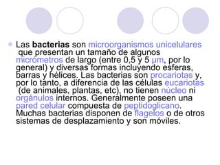 Bacterias Patogenas | PPT