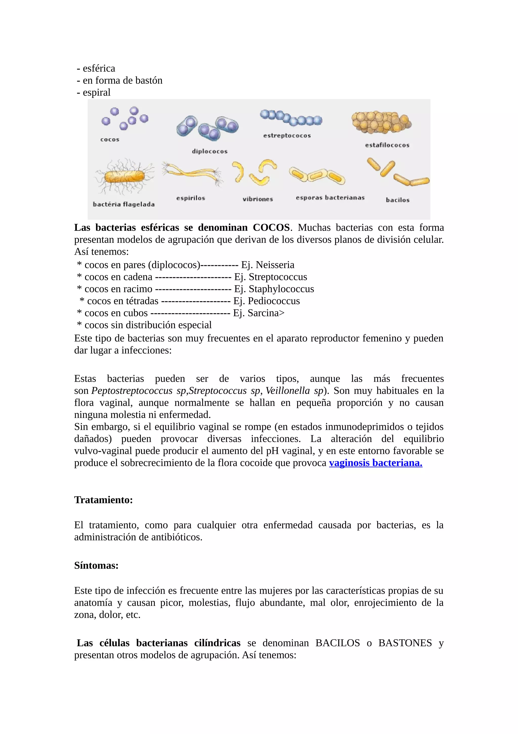 Bacterias que podemos encontrar a traves de citología | PDF