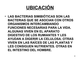 Bacterias simbioticas | PPT
