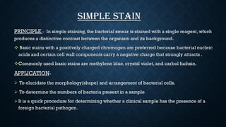 Bacteria staining (Pharmaceutical Microbiology) | PDF