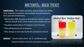 Bacteria staining (Pharmaceutical Microbiology) | PPT