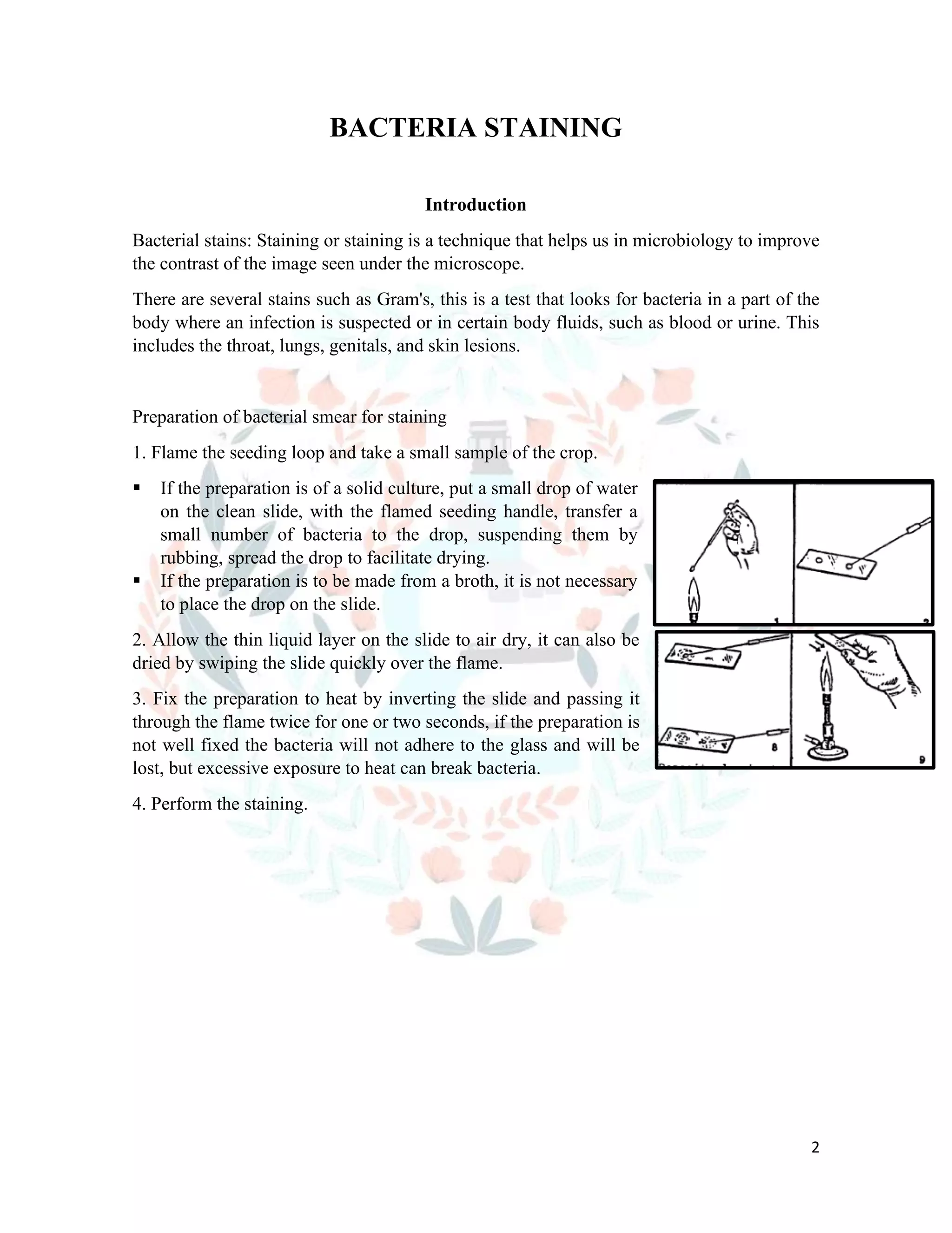 Bacteria staining | PDF