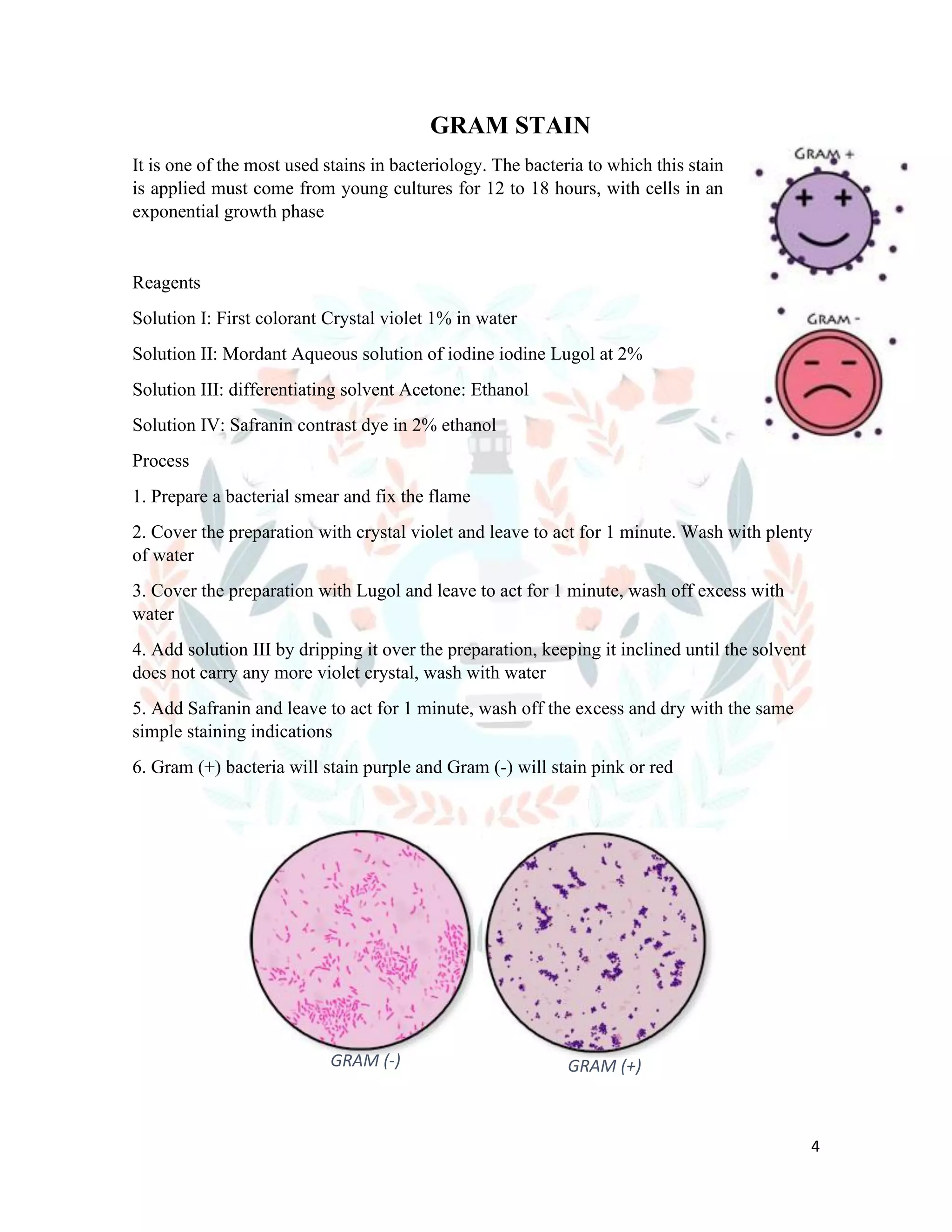 Bacteria staining | PDF