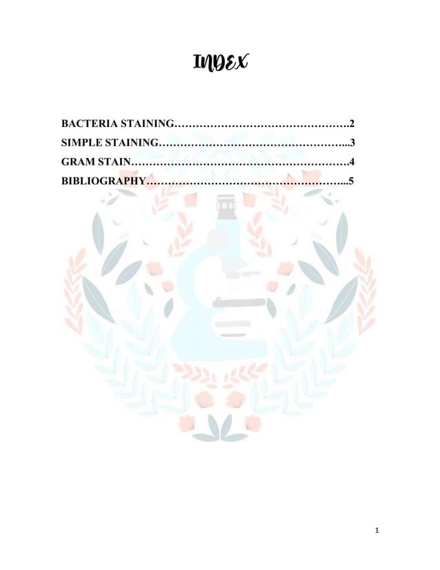 Bacteria staining | PDF