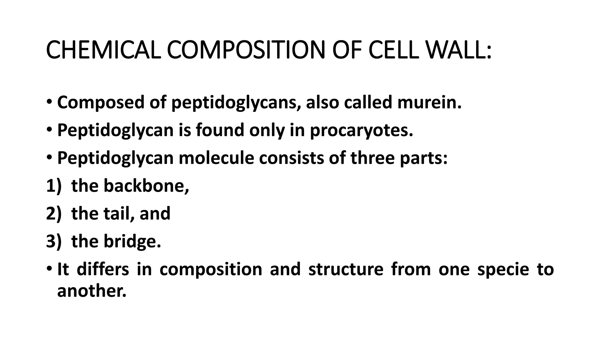 Bacteria structure.pptx