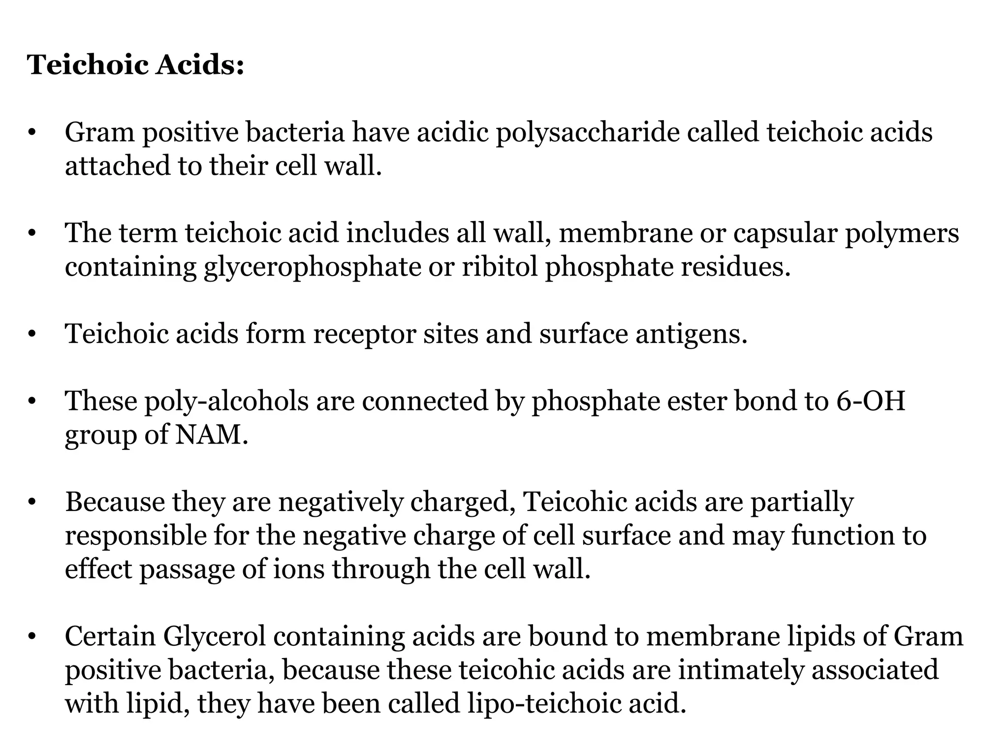 Bacteria Structure.pptx