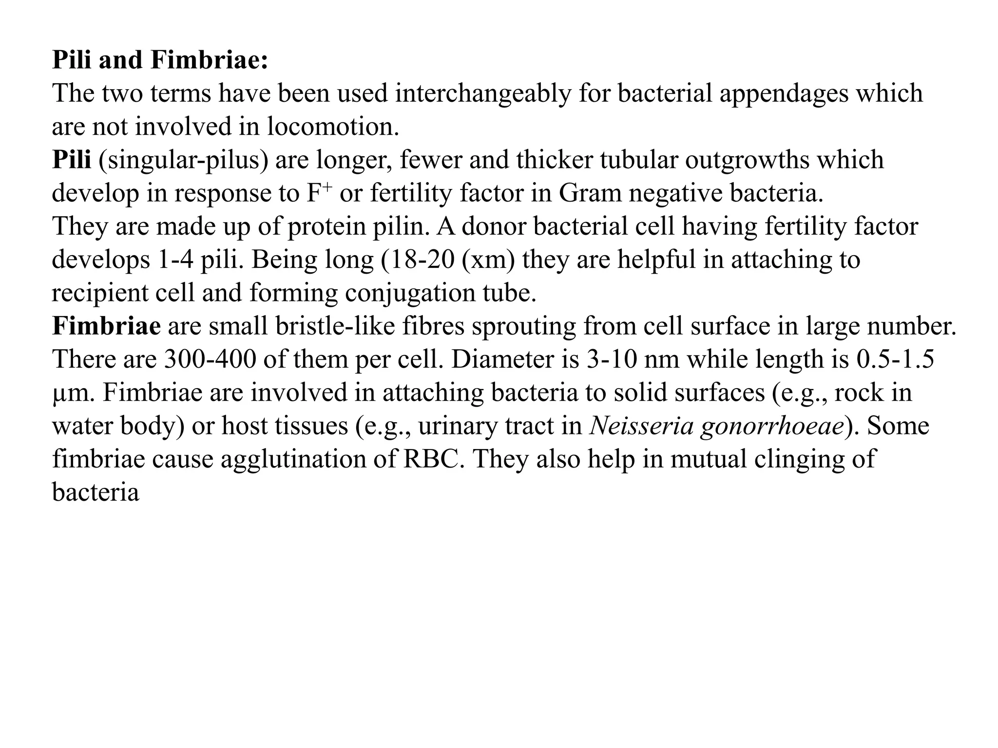 Bacteria Structure.pptx