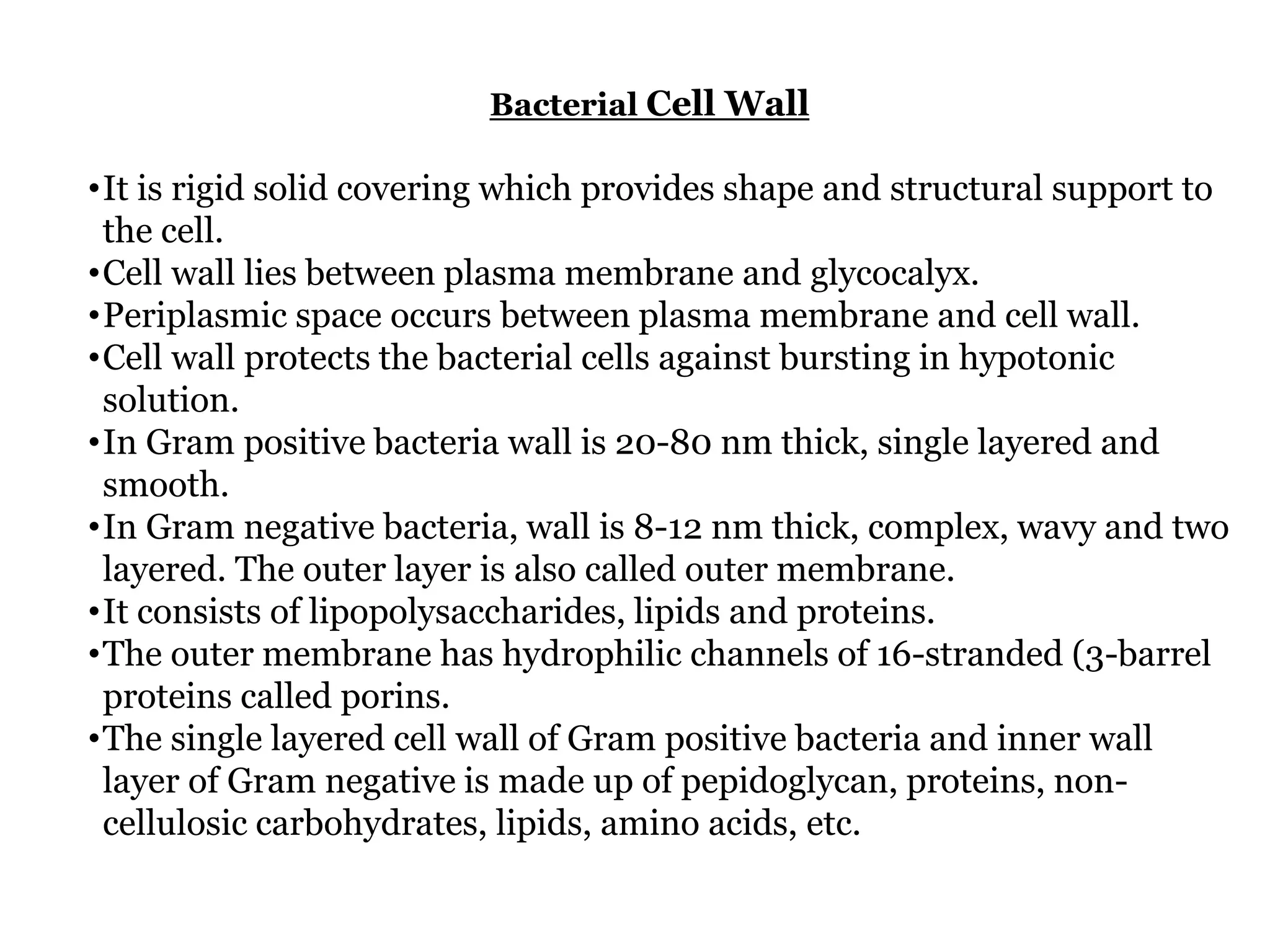 Bacteria Structure.pptx