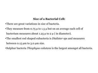 Bacteria Structure.pptx