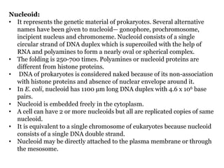 Bacteria Structure.pptx